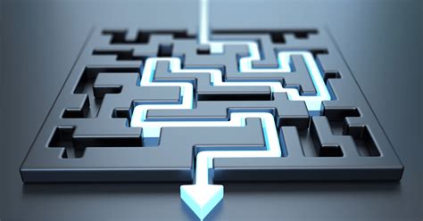 A Message From Cone Snail Are They Poisonous Or Innocent