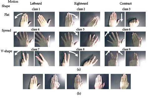Figure 1 From Hand Gestures Recognition In Videos Taken With Lensless Camera Semantic Scholar