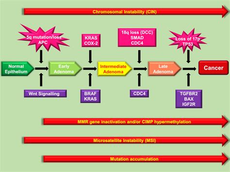 Schematic Representation Of Key Molecular Events That Drive Colorectal Download Scientific