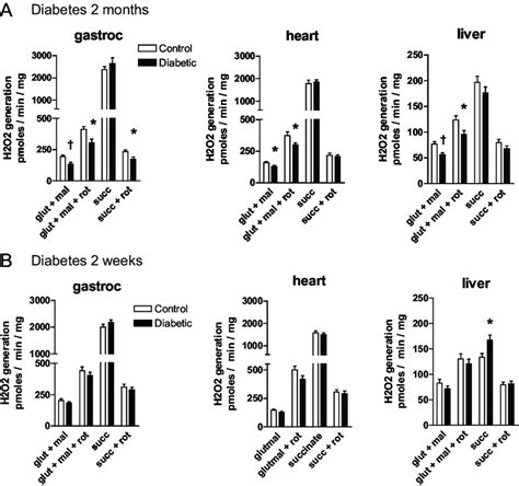H 2 O 2 Production Measured As Amplex Red Fluorescence By Mitochondria Download Scientific