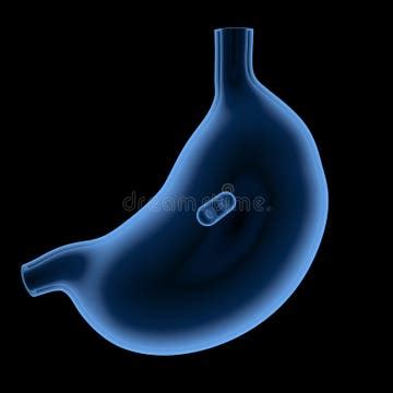 Capsule Endoscopy Stock Illustrations 53 Capsule Endoscopy Stock