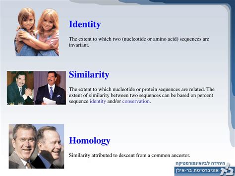 Ppt Sequence Similarity Analysis Powerpoint Presentation Free