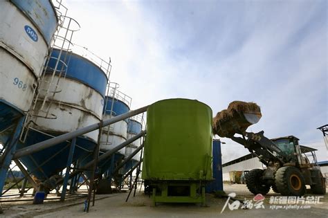 高质量发展调研行丨创锦农牧业实现三产闭环全产业链