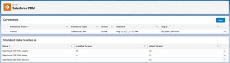 Optimize Data Cloud And Loyalty Management Setup Salesforce