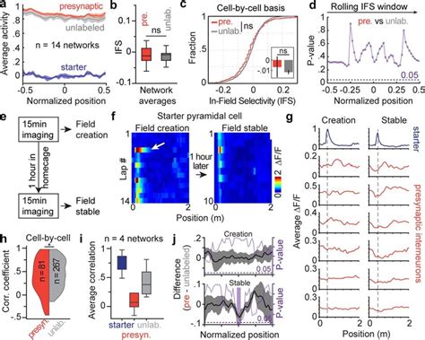 Presynaptic Interneuron Spatial Responses Are Not Spatially Selective Download Scientific