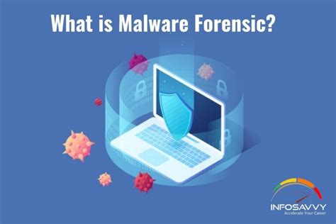 What Is Malware Forensics Infosavvy Information Training Llp