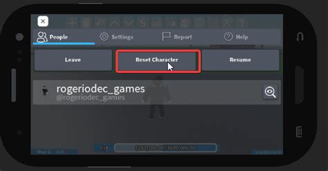 Reset Character Button Still Appears Enabled On Mobile Even When