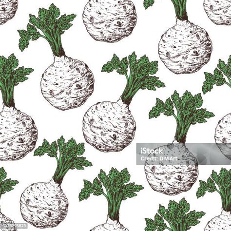셀러리 루트 이음새가 없는 패턴 손으로 그린 배경 벡터 일러스트레이션 손 그리기 스케치 그림 셀러리 뿌리 야채 손으로 그린 배경