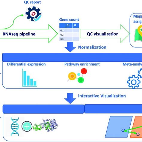 Visualization Of Pathway Enrichment Across Omics And Comparisons By