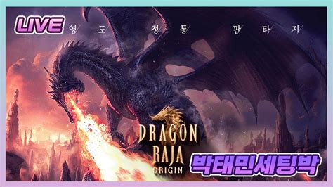 드래곤라자 오리진 신화펫 뽑고 기사 전향 후원코드rush6314 85 드래곤라자오리진 드래곤라자 루비아이 박태민 세팅박 강민 이윤열 안기효 햄찌야