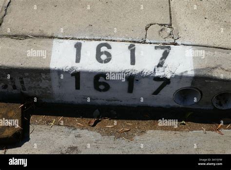 Beverly Hills California Usa 9th March 2025 Actor John Dall And Actor