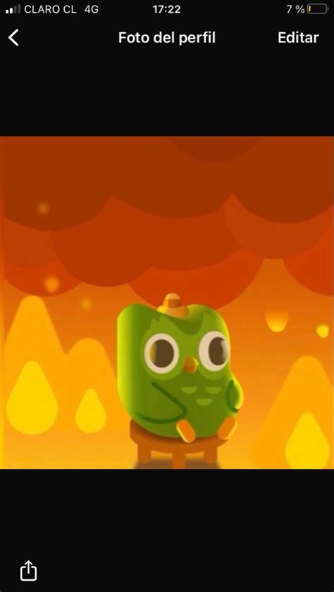 Duolingo Creepy Duolingo Memes Funny Cartoon S