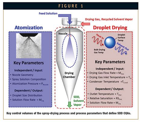Spray Drying Formulation Of Amorphous Solid Dispersions At Donna Bush Blog
