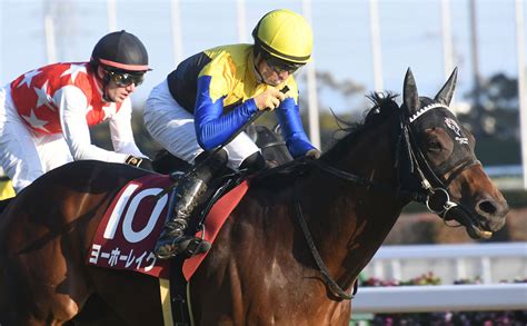 【日経新春杯予想・過去10年データ】過去のレース傾向から狙うは若い馬！競馬予想データ 競馬まとめ Netkeiba