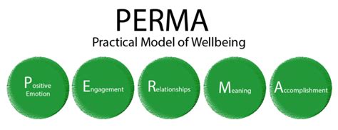 What Is Wellbeing And Perma Lbi Foundation
