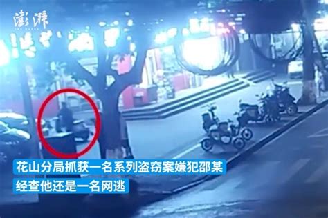 马鞍山一网逃四处偷盗 还偷狗陪伴：想让它陪自己说话凤凰网视频凤凰网