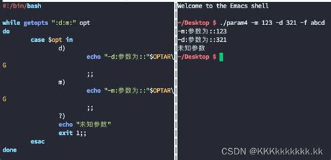 shell 脚本传递参数的两种方式：位置传参与指令式传参 shell 传递参数占位 csdn博客