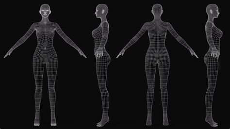 Female Body Base Mesh 3d Model By Iquon