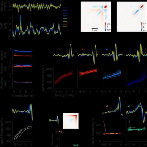 overview of optimally efficient heterogeneous neuronal encoding