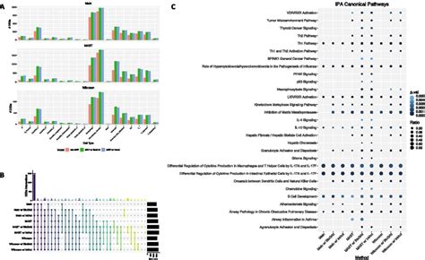 Results From Ipf Scrna Seq Data Analysis A Number Of Cell Type Download Scientific Diagram