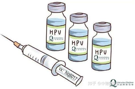 女性同胞应该知道的hpv以及宫颈癌的小知识 知乎