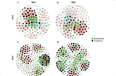 Network Analysis Revealing The Co Occurrence Pattern Between Bacterial