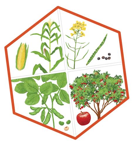 Neonicotinoids Prominent Pesticides Escape Into The Environment