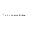 PDF Practical Malware Analysis