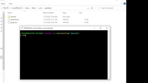 Cant Install Plugin With Pluginstall Vim