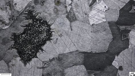 Troilite Spiders Meteorites