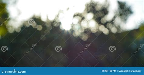 Sunlight Bokeh Photo Stock Image Image Of Background 284138741