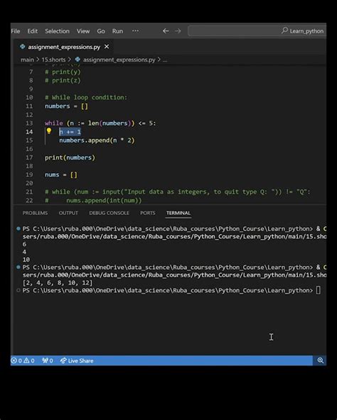 python tips assignment expressions and the “walrus operator