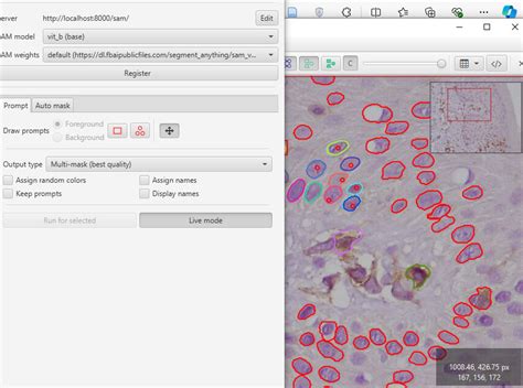 Problem With Loading Sam In Qupath Image Analysis Imagesc Forum