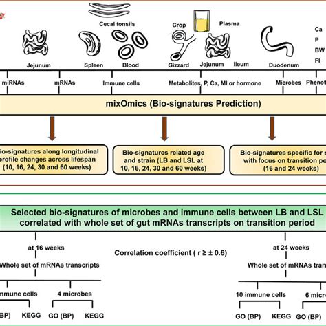 Flowchart Of The Main Steps For Biosignature Analysis In Different Download Scientific Diagram
