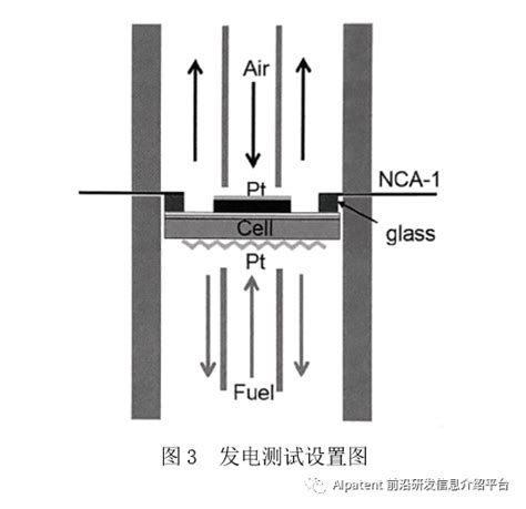 具有双层电解质结构的共烧结支撑膜型质子传导sofc的开发 发电