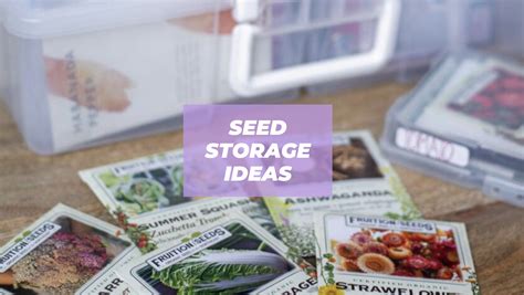 BEST Seed Storage Ideas How To Store Seeds PunkMed