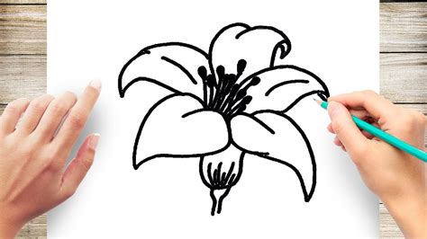 Easy To Draw Lily Flower