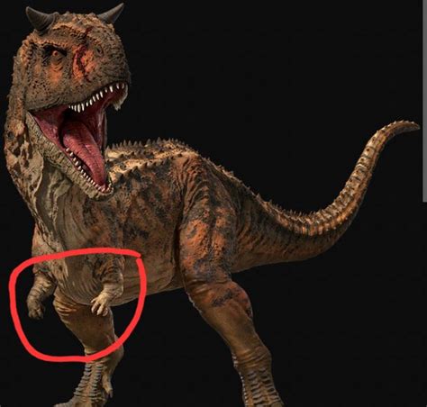 These Arms Really Annoy Me Rdinosaurs