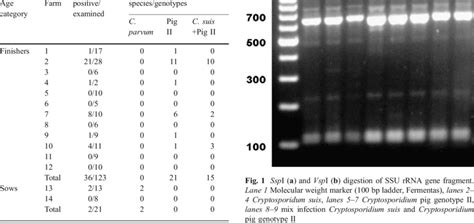 Molecular Characterization Of Cryptosporidium Species Genotypes In