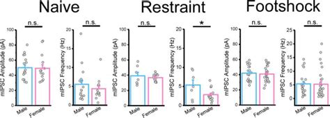 Sex Differences Do Not Account For Stress Induced Disinhibition Of Download Scientific Diagram