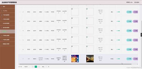 Java企业知识产权管理系统 Csdn博客