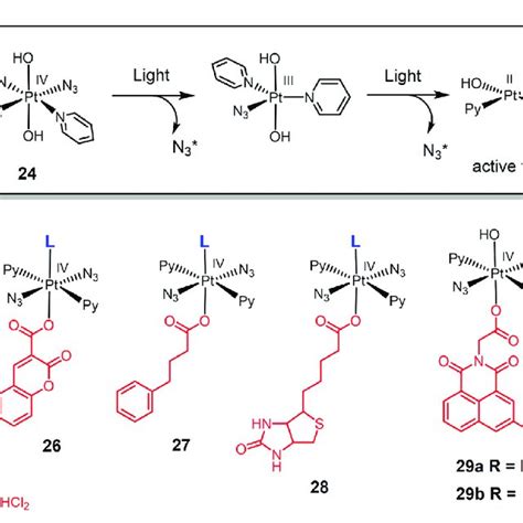 Light Responsive Ruii Prodrugs As Photosensitizers For Pdt