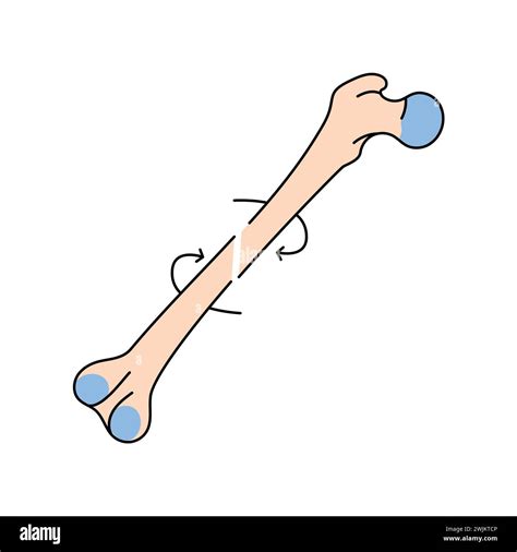 Spiral Bone Fracture Line Icon Vector Isolated Element Editable Stroke Stock Vector Image