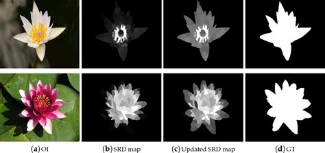 Figure 2 From Appearance Based Salient Regions Detection Using Side Specific Dictionaries