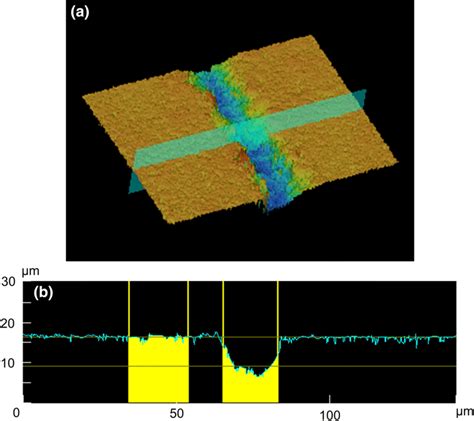 A Surface Analysis Of The Laser Structured Anode B Cross Section With