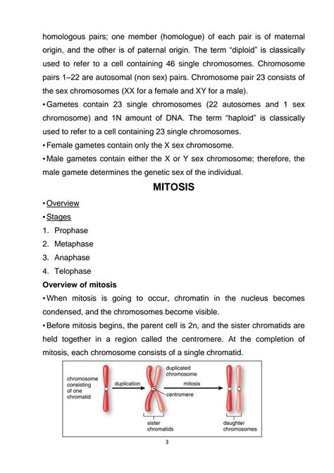 SOLUTION Lecture 30 Chromosomal Theory Of Inheritance Studypool