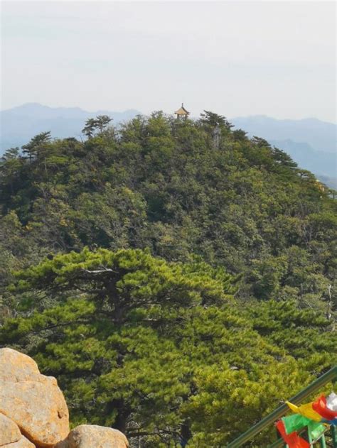 精品原創散文登山作者于振坤 每日頭條