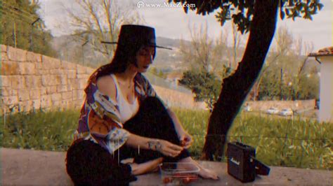 Fcpx插件8个复古老电影录像带视觉效果old Film Look Overlays醉舞千年杯莫停 站酷zcool