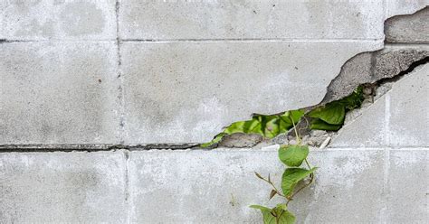 Impact Of Tree Roots On Foundations Structural Engineers