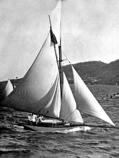 Hebe P Y 301 Ehive
